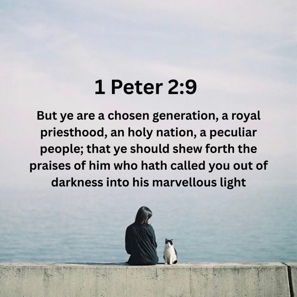 "The Cost of Discipleship: Understanding Matthew 16:24-26" - Biblical ...